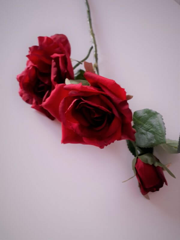 Roos rood dubbel met knop 48 cm