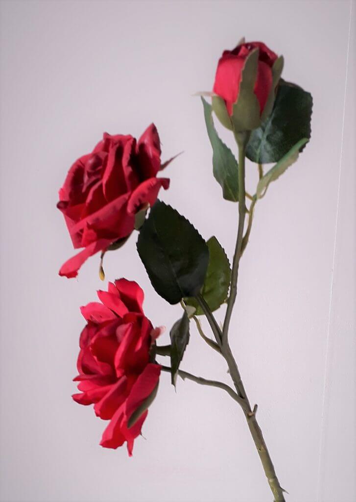 Roos rood dubbel met knop 48 cm