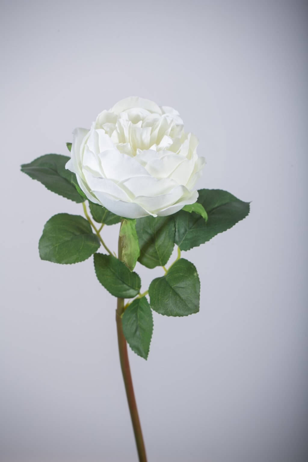 Roos wit 47 cm - Kunstbloemen en zijden bloemen webshop
