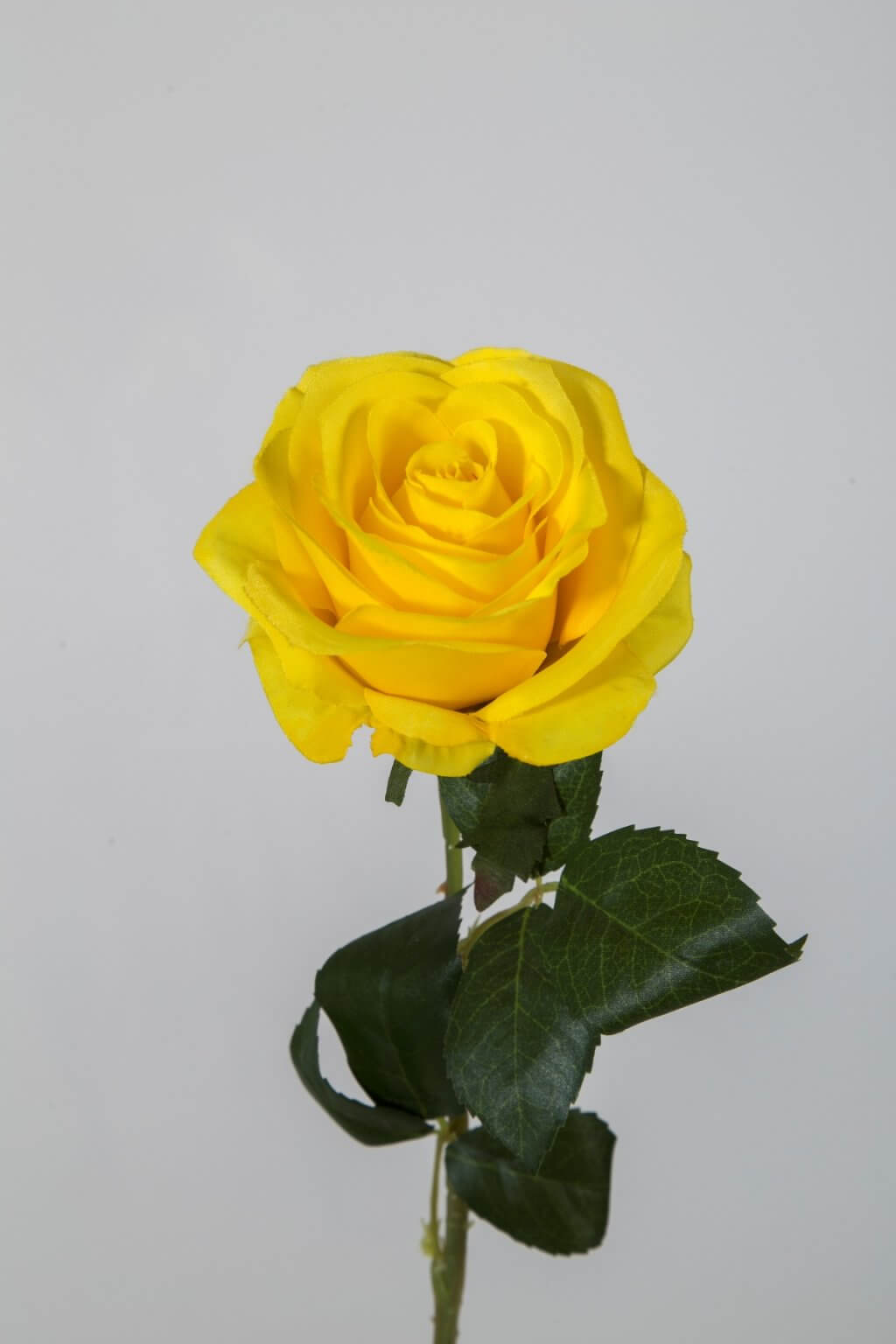 Roos fel geel 55 cm - Kunstbloemen en zijden bloemen webshop