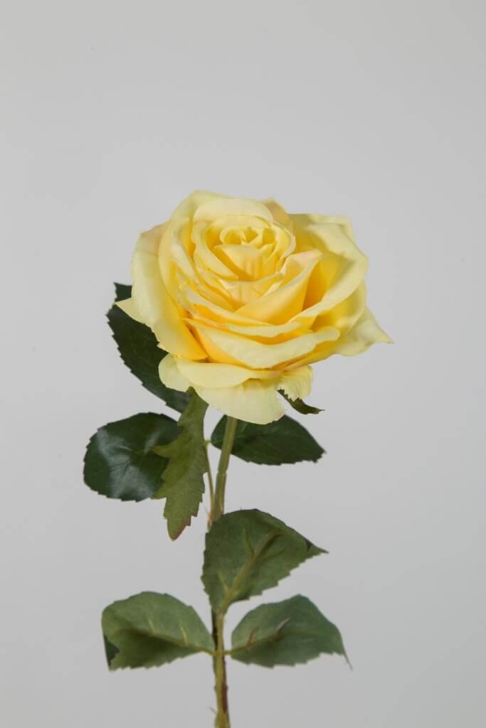 Roos creme-geel 55 cm - Kunstbloemen en zijden bloemen webshop