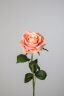 Roos perzik-roze 55 cm - Kunstbloemen en zijden bloemen webshop