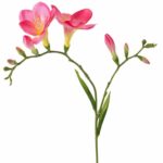 Webshop in zijden bloemen en verhuur van & zijden bloemstukken en ...